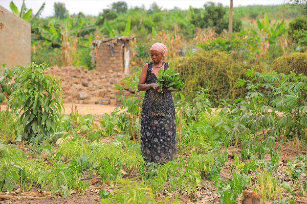 Clean Water Brings New Life to Over 15,000 Refugees in Nakivale ...
